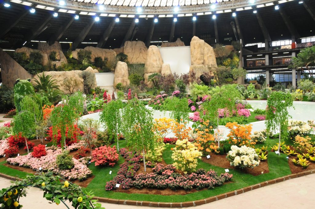 Rapallo sarà presente a Euroflora 2025 con uno spazio dedicato ai ...